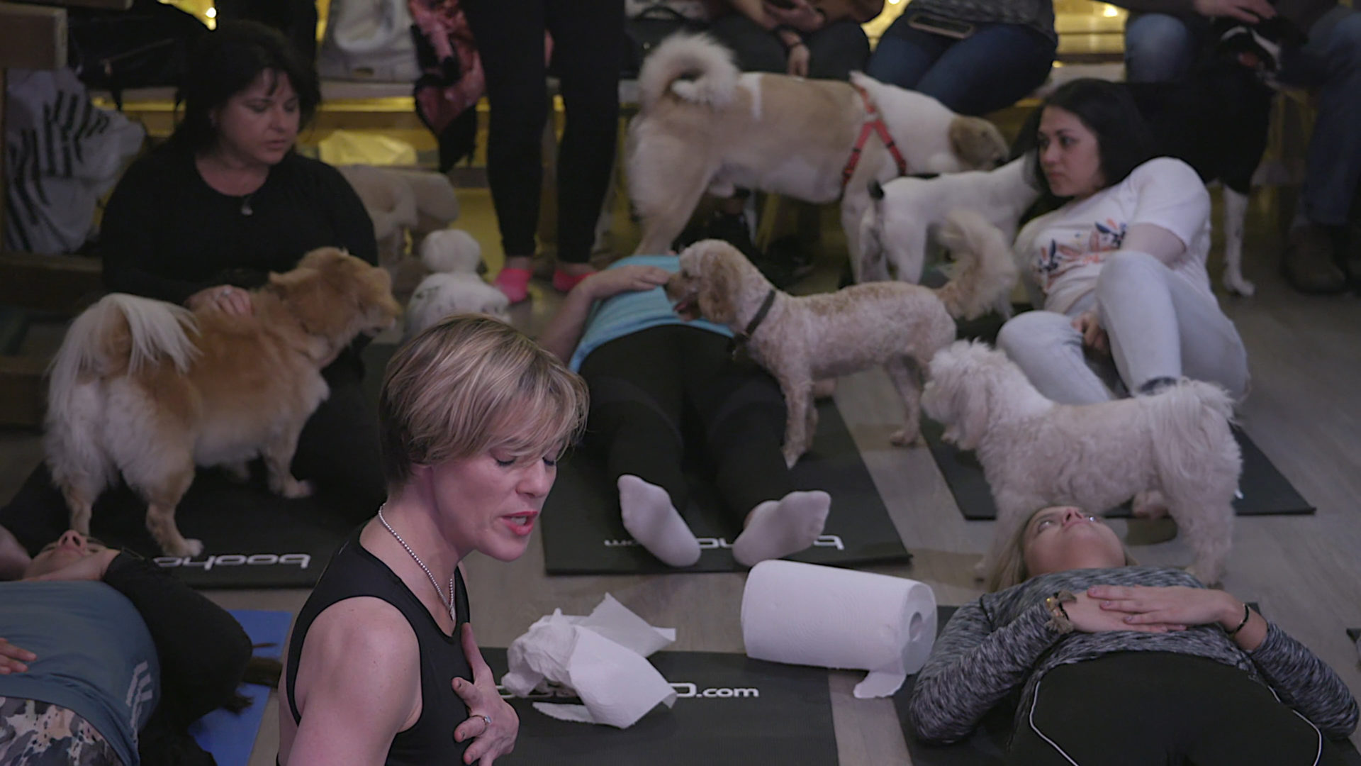 Pooches help owners practice ‘Doga’ to celebrate the Year of the Dog